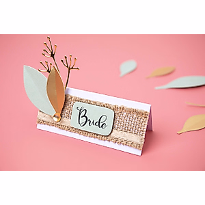 Sizzix Thinlits Die Set Leaves, Multicolor