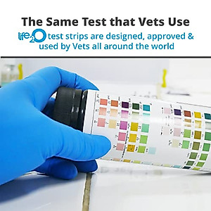 life2O 10-Parameter Cat & Dog Urine Test Strips 60ct, Cat & Dog UTI Test Kit, Diabetes Testing for Diabetic Pets, Urinalysis Reagent Strips: Glucose, Specific Gravity, pH, Ketone, Protein & More.
