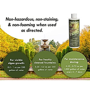 Fountain Algaecide and Clarifier - 8oz - Kills and Inhibits All Types of Algae Growth, Formulated for Small Ponds and Water Features, Treats up to 8,000 Gallons