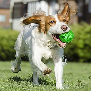 ME.FAN 3.5'' Squeaky Dog Toy Balls [8 Pack] Spiky Dog Balls/Puppy Chew Toys for Cleaning Teeth and Gum Health/Squeaker Ball Toys for Aggressive Chewers