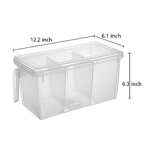 MineSign Plastic Storage Containers Square Handle Food Storage Organizer Boxes with Lids for Refrigerator Fridge Cabinet Desk (Set of 2 Organizers with Lid and 6 Removable Bins)