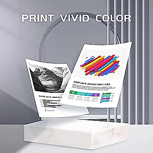 ZIPRINT 232 Remanufactured Ink Cartridge Replacement for Epson 232 T232 232 XL Ink Cartridge for Expression Home XP-4205 XP-4200 Workforce WF-2930 WF-2950 Printer (Black Cyan Magenta Yellow)