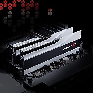 G.SKILL Trident Z5 Series (Intel XMP 3.0) DDR5 RAM 64GB (2x32GB) 6000MT/s CL32-38-38-96 1.40V Desktop Computer Memory UDIMM - Metallic Silver (F5-6000J3238G32GX2-TZ5S)