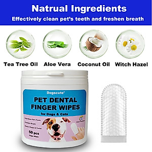 Dog Teeth Cleaning Wipes - 2 Pack | 100 Count, Dental Wipes for Dog Teeth, Pet Tooth Brushing kit Finger Wipes for Dogs & Cats - Reduces Plaque & Freshens Breath