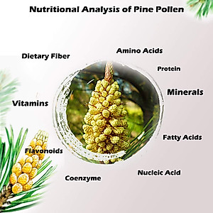 ECO-TASTE Pine Pollen Powder 6 Ounce, Wild Harvested - Pinus Tabuliformis， 99% Cracked Cell Wall