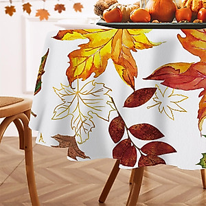 Tailus Fall Maple Leaves Round Tablecloth 60 x 60 Inch, Autumn Gold Leaf Decorative Table Cloth Rustic Dining Table Cover, Farmhouse Thanksgiving Dinner Party Picnic Decoration