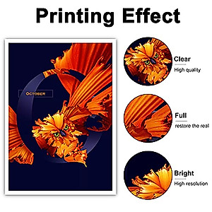 4PK (1BK+1C+1M+1Y) High Yield Drum Unit DR223CL DR-223CL Compatible Replacement for Brother MFC 3770CDW L3710CW L3750CDW L3730CDW HL 3230CDW 3270CDW 3230CDN 3290CDW DCP L3510CDW L3550CDW Printer