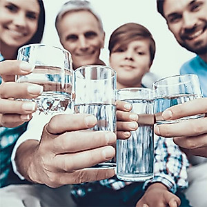 Amazon Basics 10-Cup Water Pitcher with Filter Included, Compatible with Brita