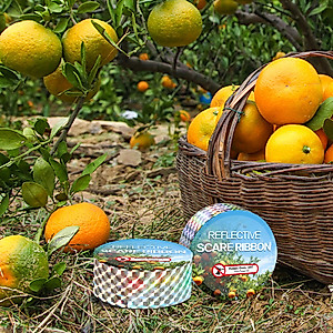 Bird Scare Tape Ribbon(524FT) - Reflective Tape for Birds - Keep Birds Away Outdoor - Scare Tape for Bird Control - Double Side Ribbon, Scare Geese, Pigeon, Duck, Woodpecke - Yard Decoration