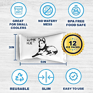 Ice Pack Bulk-Dry Ice for Shipping Frozen Food-Lunch Box Ice Packs-3 Pounds-24+Hours-Slim 15x12in/5x3in-Reusable ice Packs-Freezer Packs-Ice Packs Shipping-Dry ice Packs for shipping-12 Pack-BPA Free