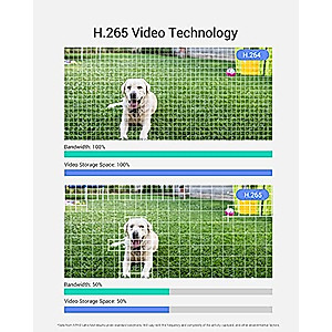 EZVIZ Security Camera Outdoor, 2K WiFi Camera with Motion Alert, Color Night Vision and IP67 Waterproof, AI-Powered Person Detection, Two-Way Talk, Compatible with Alexa Google Home | C3TN