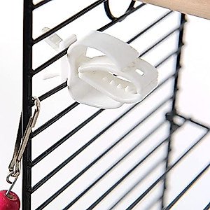 CHDHALTD Bird Food Holders, Parrot Fruit Vegetable Clips Bird Cage Feeder Clip for Budgie Parakeet Cockatoo Macaw Cage(Vegetable)