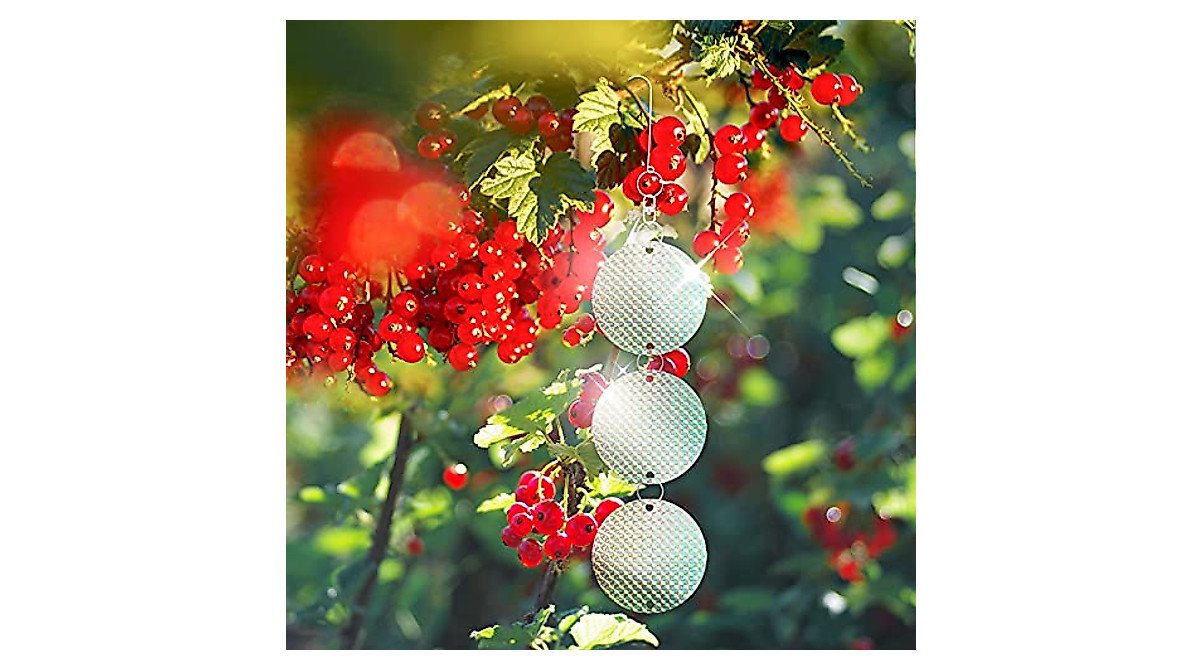 Bird Scare Devices - Reflective Outdoor Discs to Keep Birds Away