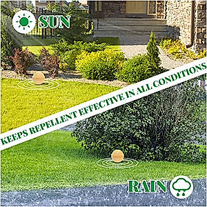 Natural Rodent Repellent, 12 Pack Mouse Repellent to Repel Mice and Rats, Mole Repeller for Car Campers Home Kitchen Garden Outdoors Indoor Garage, Pet Safe