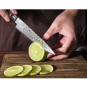 Utility Paring Knife 6 Inch Damascus Chefs Knife Utility Kitchen Knife Japanese VG10 Kitchen Paring Knives 67-Layer High Carbon Stainless Steel Knife Fruit Knife Christmas Gift