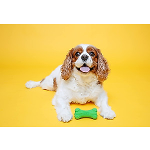 Hartz DuraPlay Bone Squeaky Latex Dog Toy for Small Breeds, 3 Pack