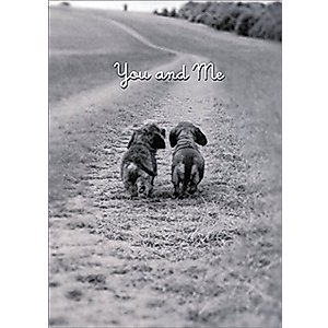 Dog Couple Walking On Path Avanti Romantic Birthday Card