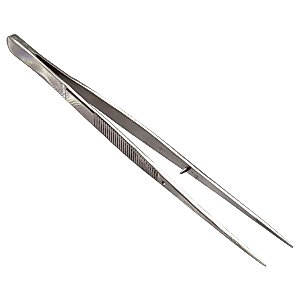 HTS 171S6 6.25" Straight Stainless Steel College Tweezers