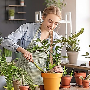 Whonline Moss Pole, 4 PCS 27 Inches Plant Sticks Support, Plant Stakes for Indoor Plants, Monstera, Pothos