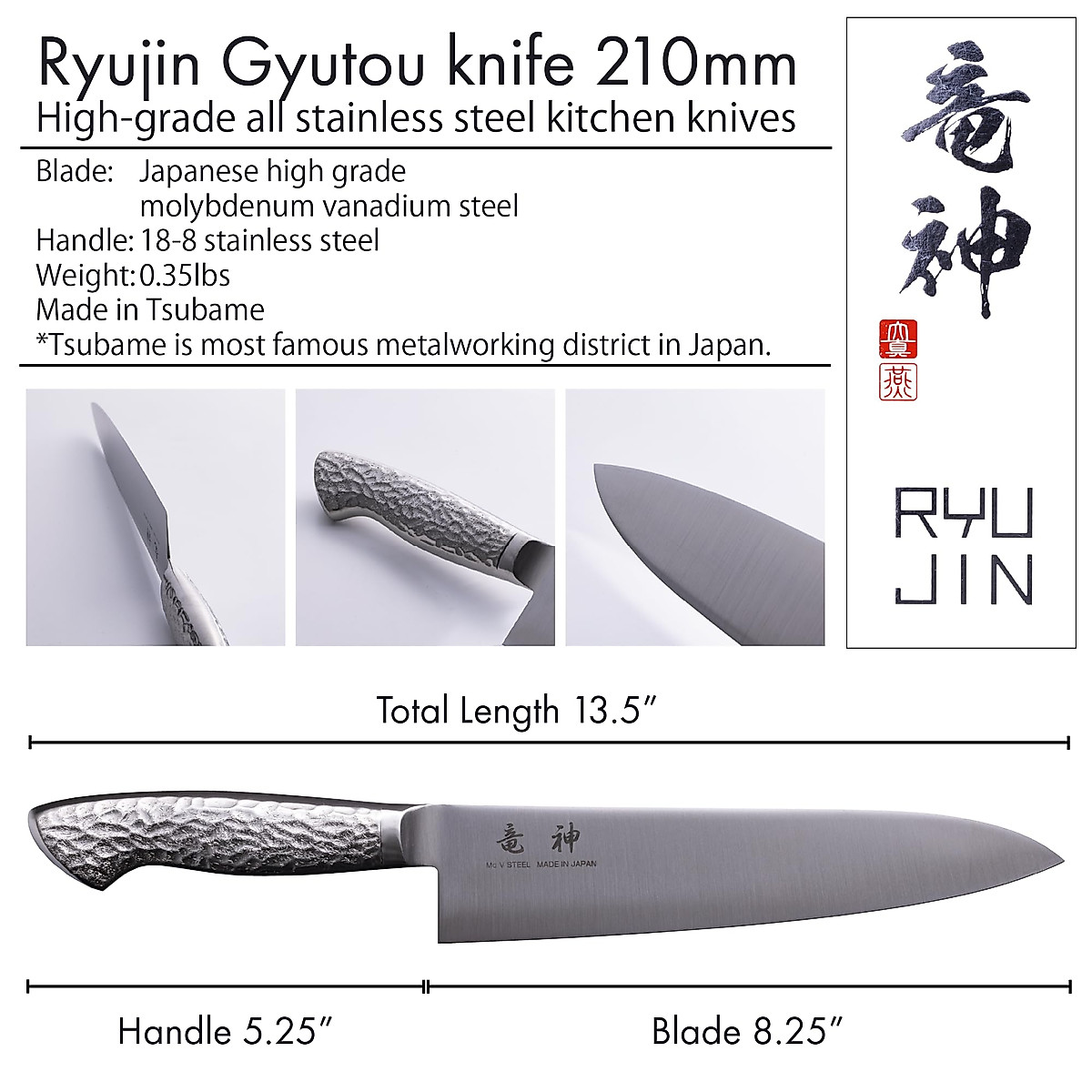 竜神 (RYUJIN) Professional Japanese chef knife Gyutou Knife 210mm [OMOTENASHI Selection 2023 Best Gold Award Winner] Made in Japan Tsubame Sanjo Stainless Steel Integrated Daishin Sangyo [Ryujin Knife]