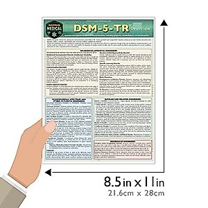 DSM-5-TR Overview: a QuickStudy Laminated Reference Guide
