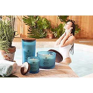 Chesapeake Bay Candle PT41312 Scented Candle, Refresh + Rejuvenate (Mediterranean Citrus), Medium, Home Décor