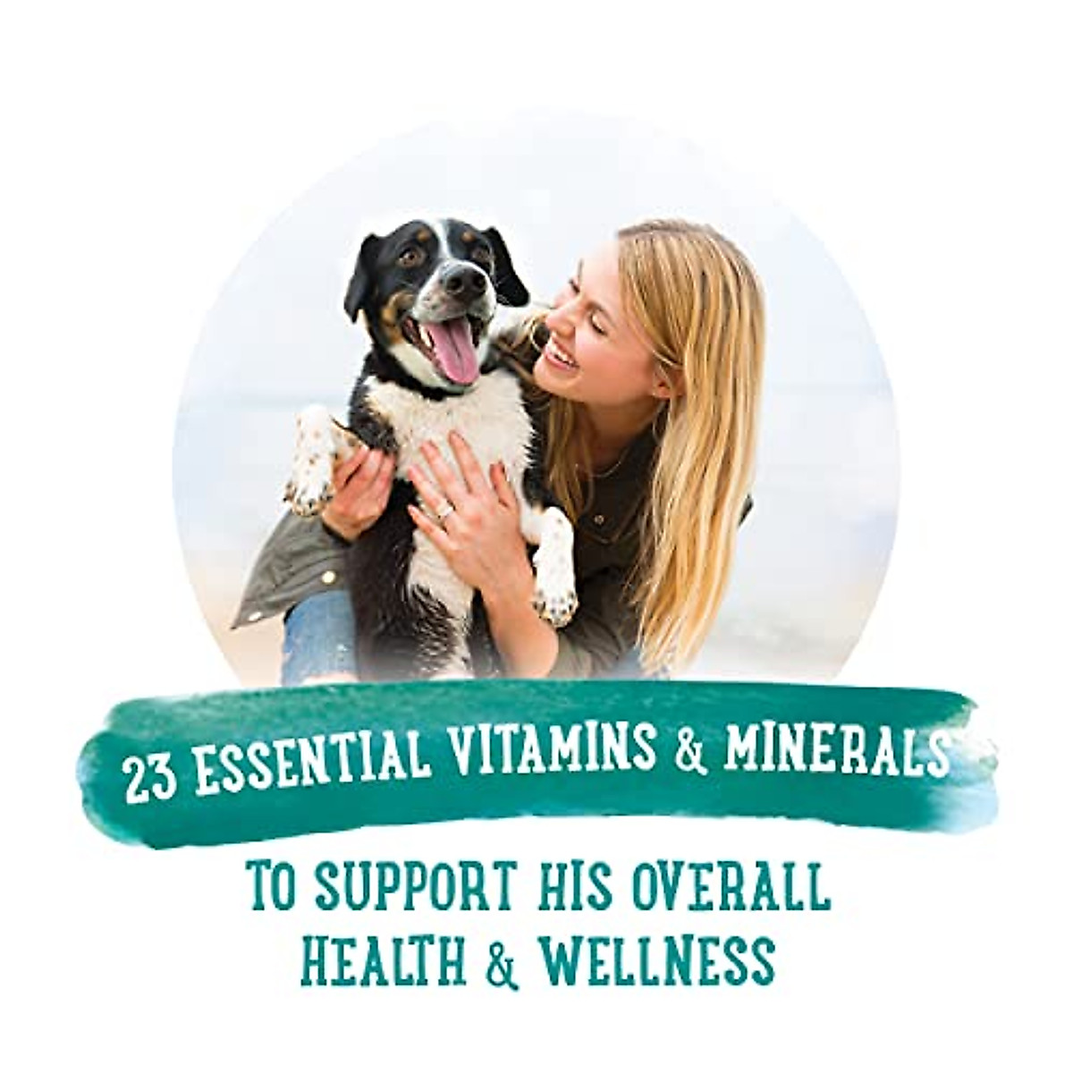 Purina Beneful High Protein Wet Dog Food With Gravy, Prepared Meals Savory Rice & Lamb Stew - (8) 10 oz. Tubs