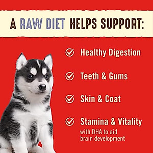 Stella & Chewy’s Freeze Dried Raw Dinner Patties – Crafted for Puppies – Grain Free, Protein Rich Perfectly Puppy Chicken & Salmon Recipe – 14 oz Bag