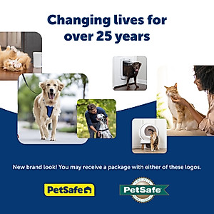 PetSafe 5 Meal Dog Food Dispenser - Storage for Up to 5 Cups of Kibble or Treats of Any Size - Tray Automatically Rotates According to User Programming to Deliver Pre-Planned Meals at Precise Times