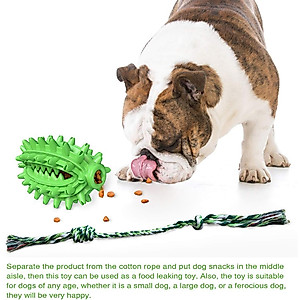 Dog Chew Toys Dog Toothbrush Stick Teeth Cleaning Brush Dental for Small Medium Large Dog, Rubber Dog Squeaky Toys for Aggressive Chewers Cactus Tough Toys Interactive for Training Cleaning Teeth