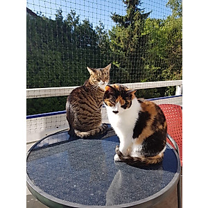 AIYGO Cat Netting Balcony Pet Mesh Fence for Balcony Black Nylon Balcony Netting for Pets Anti-Fall Cat Net for Balcony and Windows（10 * 20ft）