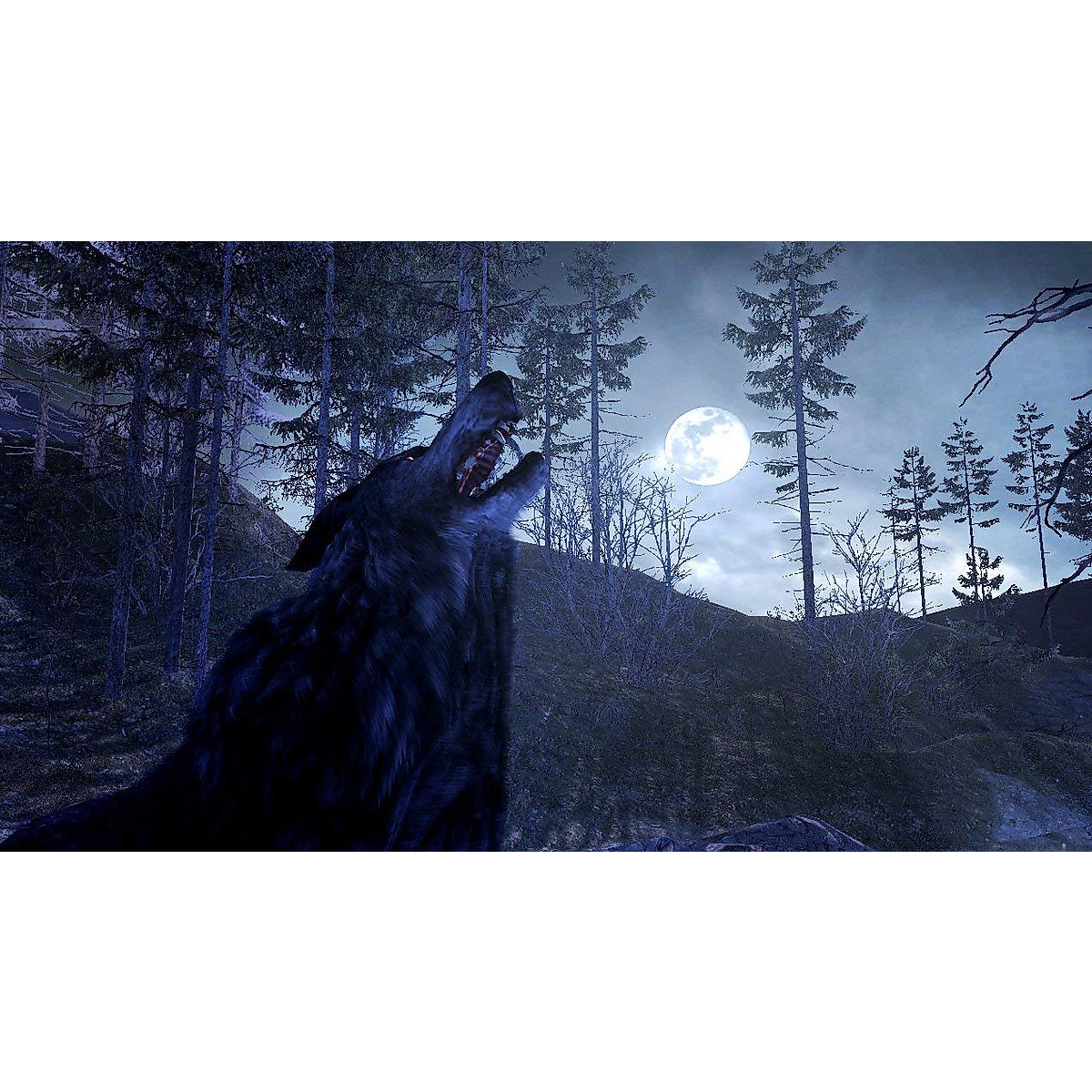 Cabela's Dangerous Hunts 2011 - Xbox 360 (Renewed)