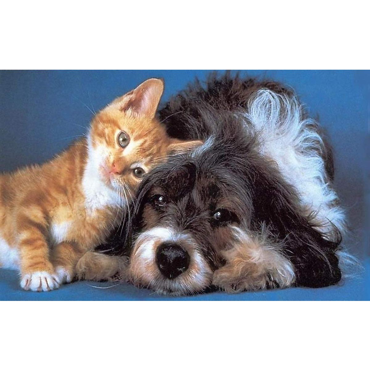 I LOVE MY PETS LLC cat Liver Support - PET Immune Support - Dogs and Cats - Booster - Healthy - Milk Thistle Cats - 180 Treats (3 Bottles)