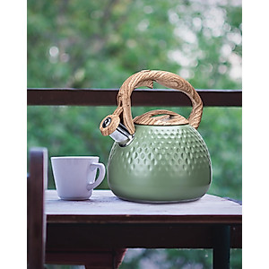 Hauce Radio Tea Kettle Stovetops, 2.5 Quart Food Grade Stainless Steel Water kettles for Stove Top Teatop with Anti-hot Ergonomic Handle,Suitable for All Heat Sources