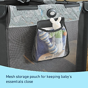 Graco Pack n Play Portable Playard, Reign with Compact Fold and Mesh Storage