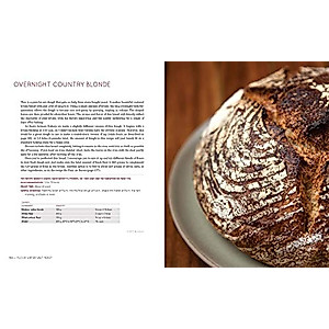 Flour Water Salt Yeast: The Fundamentals of Artisan Bread and Pizza [A Cookbook]