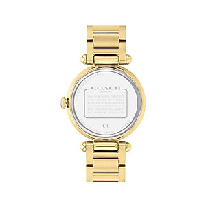 Coach Cary Women's Watch | Premium Fashion Timepiece for Her - Perfect for Day and Night | Water Resistant (Model 14503832)