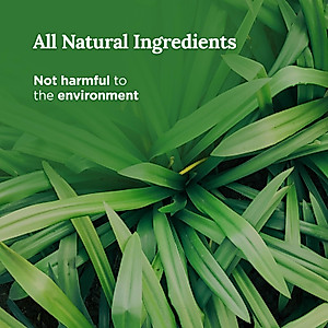 Magnificent 101 Abundance Large Glass Candle 14oz