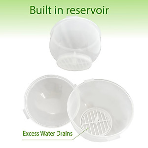 Trenton Gifts Lettuce And Vegatable Storage Keeper | 7" X 8"