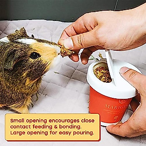 GuineaDad Organic Guinea Pig Herbal Treats - Guinea Pig Food with Convenient Packaging - Marigold Flavor - 1.2-oz - Guinea Pig Treats Help with Bonding - High in Nutrition, Immune Support - Small