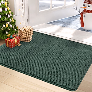 DEXI Door Mat Entryway Doormat Front Entrance Non-Slip Low Profile Washable for Inside Entry 23.5"x35.5",Sea Green