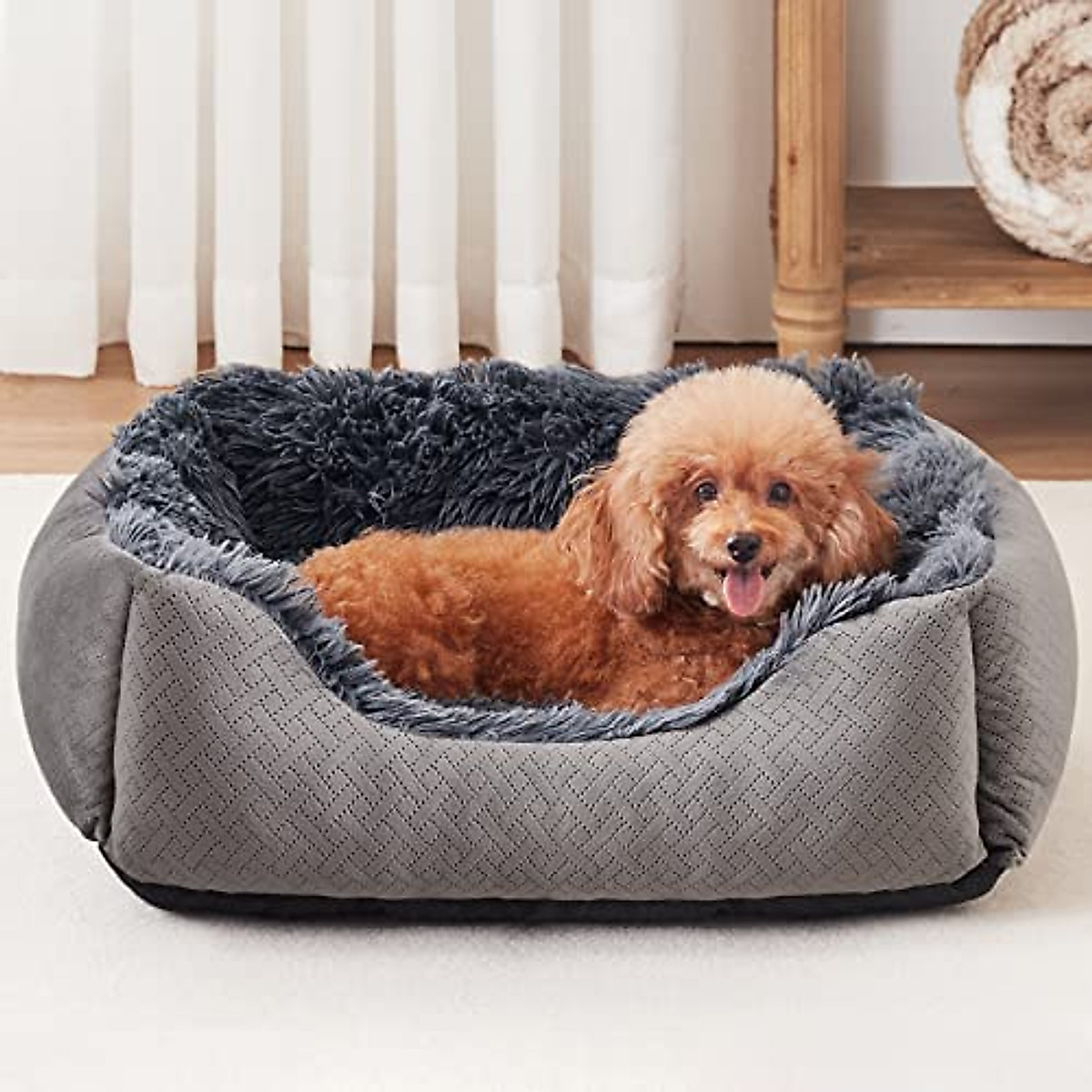 INVENHO Small Dog Bed for Small Medium Large Dogs, Rectangle Washable Dog Bed, Orthopedic Dog Sofa Bed, Durable Plush Pet Bed, Soft Calming Sleeping Puppy Bed with Anti-Slip Bottom S(20"x19"x6")