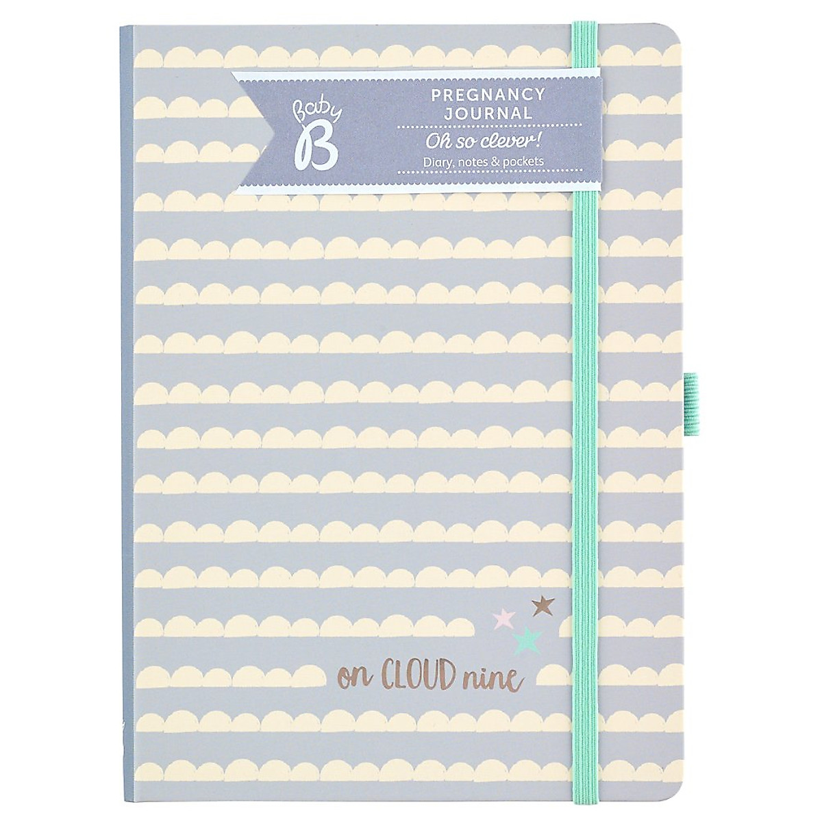 Busy B 6591 Clouds Pregnancy Journal Book