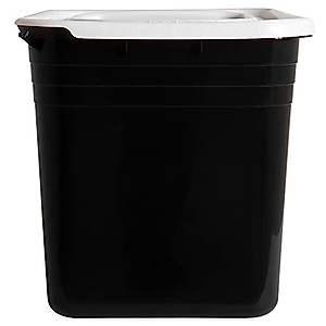 Petmate Arm & Hammer Premium Litter Box, Top Entry Litter Pan with Filter to Clean Paws, High Walled Large Litter Box