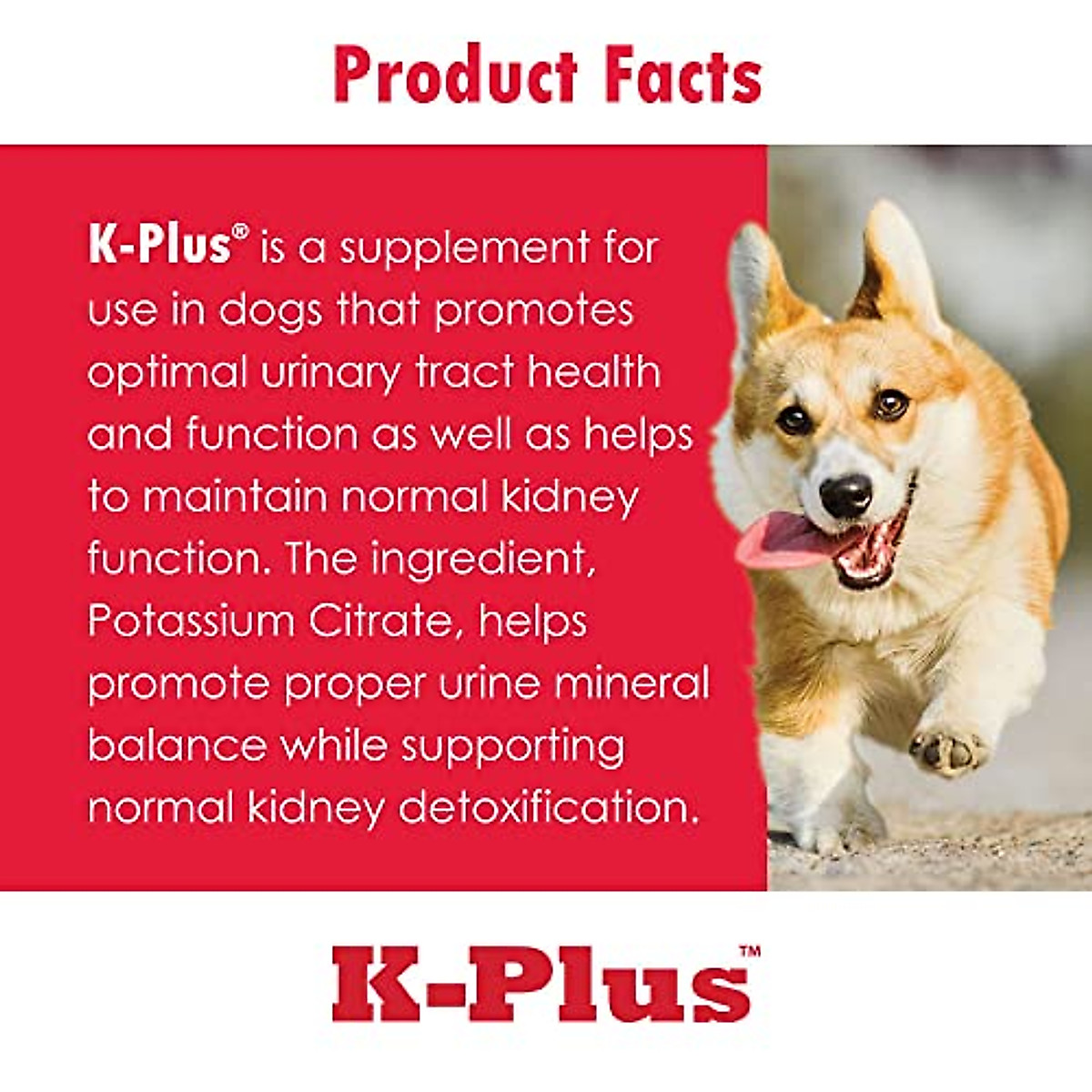 K-Plus Potassium Citrate Plus Cranberry Supplement for Dogs - UTI Remedy Chewable Tablets - Supports Bladder Health - For Every Dog Breed (100 Tabs)