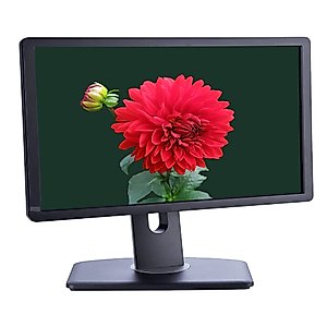 Dell P1913T Wide Screen 19 inch Desktop Computer Tower Monitor for Home Office, LED Backlit Display, (VGA, Display, DVI Ports) 5ms Response time (Renewed)