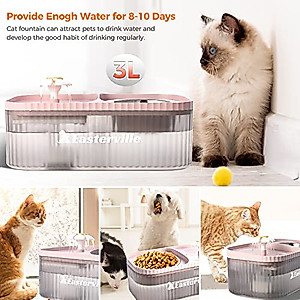 Easterville Cat Water Fountain, Ultra Quiet Water Fountain for Cats Inside with 3 Filters, Pet Water Fountain, 3L/101oz Automatic Cat Fountain Cat Water Dispenser & Stainless Steel Bowl