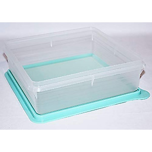 Tupperware Snack and Store Square Container Frosted Sheer and Mint