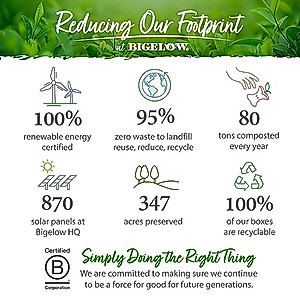 Bigelow Benefits Wellness Tea Collection, Variety Gift Box Sampler, 64 Tea Bags, (Pack of 1