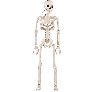 Oun Nana Halloween Posable Skeleton 16” Full Body Plastic Halloween Skeletons with Movable Joints, Mini Poseable Skeleton Toy for Halloween Party Decorations